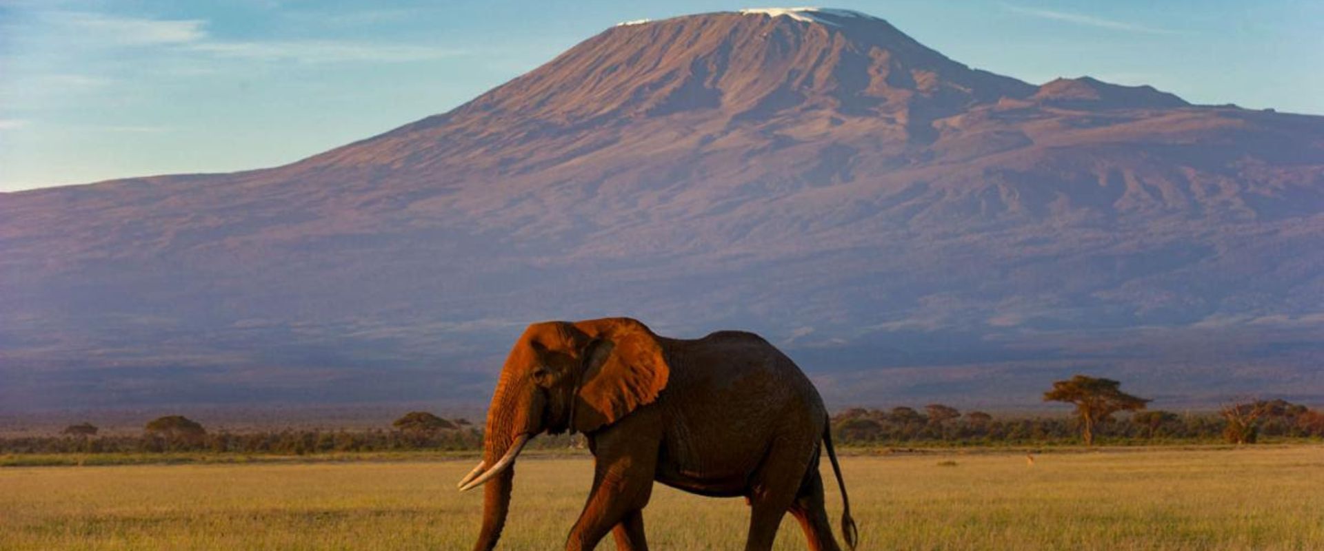 Classic Safaris | Sustainable travel with delightful experiences